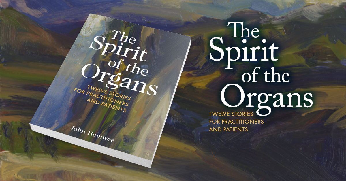 'The Spirit of the Organs': Extract - Singing Dragon and Handspring Blog