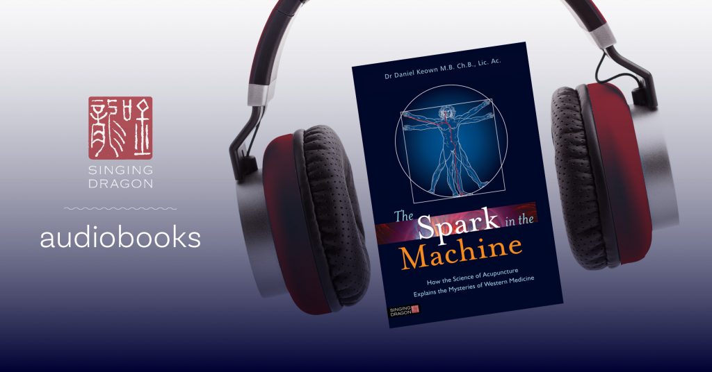 The Spark in the Machine - Now an Audiobook! - Singing Dragon and ...